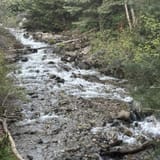 Adams Canyon Trail, Utah - 7,101 Reviews, Map | AllTrails