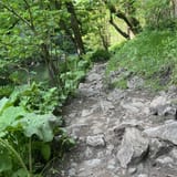 Chee Dale Gorge Circular, Derbyshire, England - 1,403 Reviews, Map ...