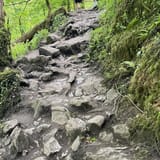 Chee Dale Gorge Circular, Derbyshire, England - 1,403 Reviews, Map ...