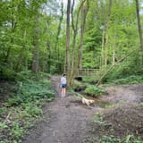 Peover Eye Circular, Cheshire, England - 91 Reviews, Map | AllTrails