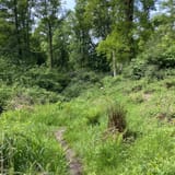 Peover Eye Circular, Cheshire, England - 91 Reviews, Map | AllTrails