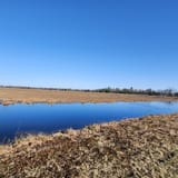 Navarino Nature Center Loop Trail, Wisconsin - 169 Reviews, Map | AllTrails