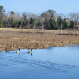 Navarino Nature Center Loop Trail, Wisconsin - 169 Reviews, Map | AllTrails