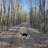 Navarino Nature Center Loop Trail, Wisconsin - 169 Reviews, Map | AllTrails
