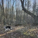 Navarino Nature Center Loop Trail, Wisconsin - 169 Reviews, Map | AllTrails