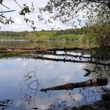 Old Pale Hill and Delamere Forest, Cheshire, England - 1,032 Reviews ...