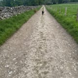 Chee Dale Gorge Circular, Derbyshire, England - 1,403 Reviews, Map ...