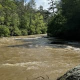 Cartecay River Loop Trail, Georgia - 2,088 Reviews, Map | AllTrails