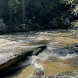 Cartecay River Loop Trail, Georgia - 2,088 Reviews, Map | AllTrails