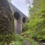 Chee Dale Gorge Circular, Derbyshire, England - 1,403 Reviews, Map ...