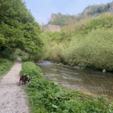 Chee Dale Gorge Circular, Derbyshire, England - 1,403 Reviews, Map ...