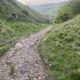 Chee Dale Gorge Circular, Derbyshire, England - 1,403 Reviews, Map ...