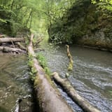 Chee Dale Gorge Circular, Derbyshire, England - 1,403 Reviews, Map ...