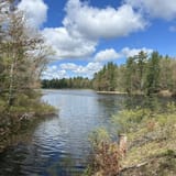North Country Trail and Fife Lake Loop, Michigan - 336 Reviews, Map ...