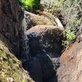 Moses Spring and Rim Trail Loop, California - 2,553 Reviews, Map ...