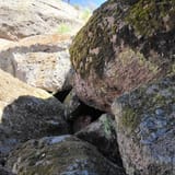 Moses Spring and Rim Trail Loop, California - 2,553 Reviews, Map ...