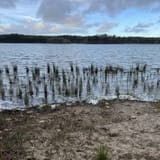 Cliff Pond Trail, Massachusetts - 1,561 Reviews, Map | AllTrails