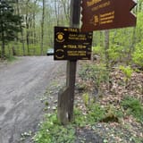 Burroughs Range Trail (Wittenberg, Cornell, Slide Trail), New York ...