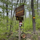 Burroughs Range Trail (Wittenberg, Cornell, Slide Trail), New York ...
