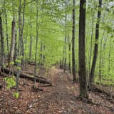 Burroughs Range Trail (Wittenberg, Cornell, Slide Trail), New York ...