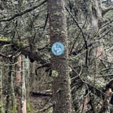 Burroughs Range Trail (Wittenberg, Cornell, Slide Trail), New York ...