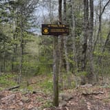 Burroughs Range Trail (Wittenberg, Cornell, Slide Trail), New York ...
