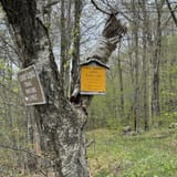 Burroughs Range Trail (Wittenberg, Cornell, Slide Trail), New York ...