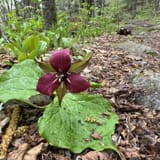 Burroughs Range Trail (Wittenberg, Cornell, Slide Trail), New York ...