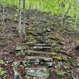Burroughs Range Trail (Wittenberg, Cornell, Slide Trail), New York ...