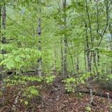 Burroughs Range Trail (Wittenberg, Cornell, Slide Trail), New York ...