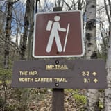Imp Ledges Trail, New Hampshire - 436 Reviews, Map | AllTrails