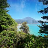 Cape Falcon Trail, Oregon - 3,824 Reviews, Map | AllTrails