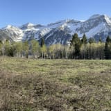 Tibble Fork Loop Trail, Utah - 807 Reviews, Map | AllTrails