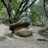 Dave Moore Nature Trail, California - 391 Reviews, Map | AllTrails