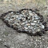 Dave Moore Nature Trail, California - 391 Reviews, Map | AllTrails