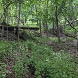 Emerald View Trail, Pennsylvania - 795 Reviews, Map | AllTrails