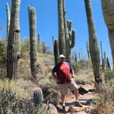 Dragonfly Trail, Arizona - 1,329 Reviews, Map | AllTrails