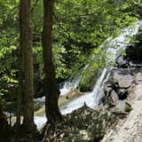 Roaring Run Trail, Virginia - 827 Reviews, Map | AllTrails