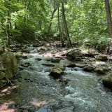 Roaring Run Trail, Virginia - 827 Reviews, Map | AllTrails