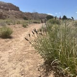 Juniper Draw Loop Trail, Nevada - 336 Reviews, Map | AllTrails