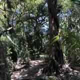 Palo Maria Waterfall, Jalisco, Mexico - 455 Reviews, Map | AllTrails