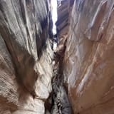Bull Valley Gorge Trail, Utah - 206 Reviews, Map | AllTrails