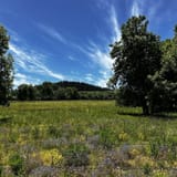 Bald Hill Natural Area Loop, Oregon - 341 Reviews, Map | AllTrails