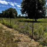 Bald Hill Natural Area Loop, Oregon - 341 Reviews, Map | AllTrails