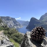 Hetch Hetchy Loop, California - 344 Reviews, Map | AllTrails