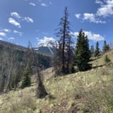 Adrenaline Falls, Colorado - 197 Reviews, Map | AllTrails