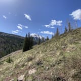 Adrenaline Falls, Colorado - 197 Reviews, Map | AllTrails