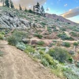 Hunter Creek Trail, Nevada - 4,578 Reviews, Map | AllTrails