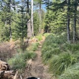 Mount Kit Carson Trail, Washington - 1,002 Reviews, Map | AllTrails