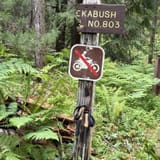 Duckabush River Trail to Five Mile Camp, Washington - 882 Reviews, Map ...
